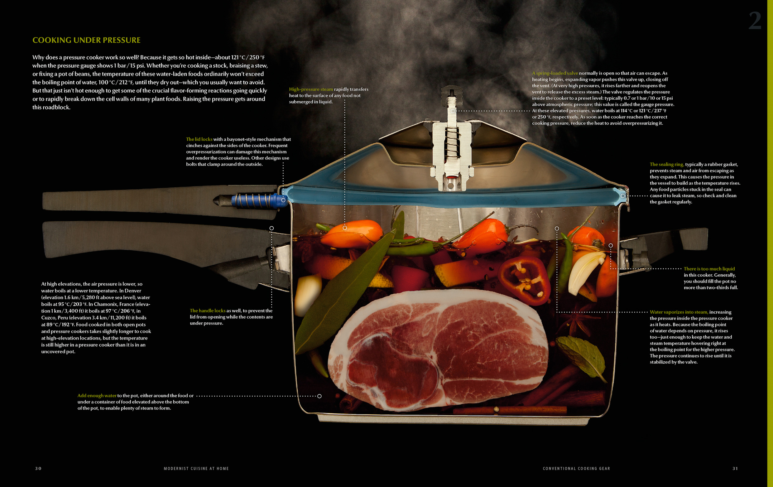 LSN : News : Domestic science: A recipe for modernist cooking