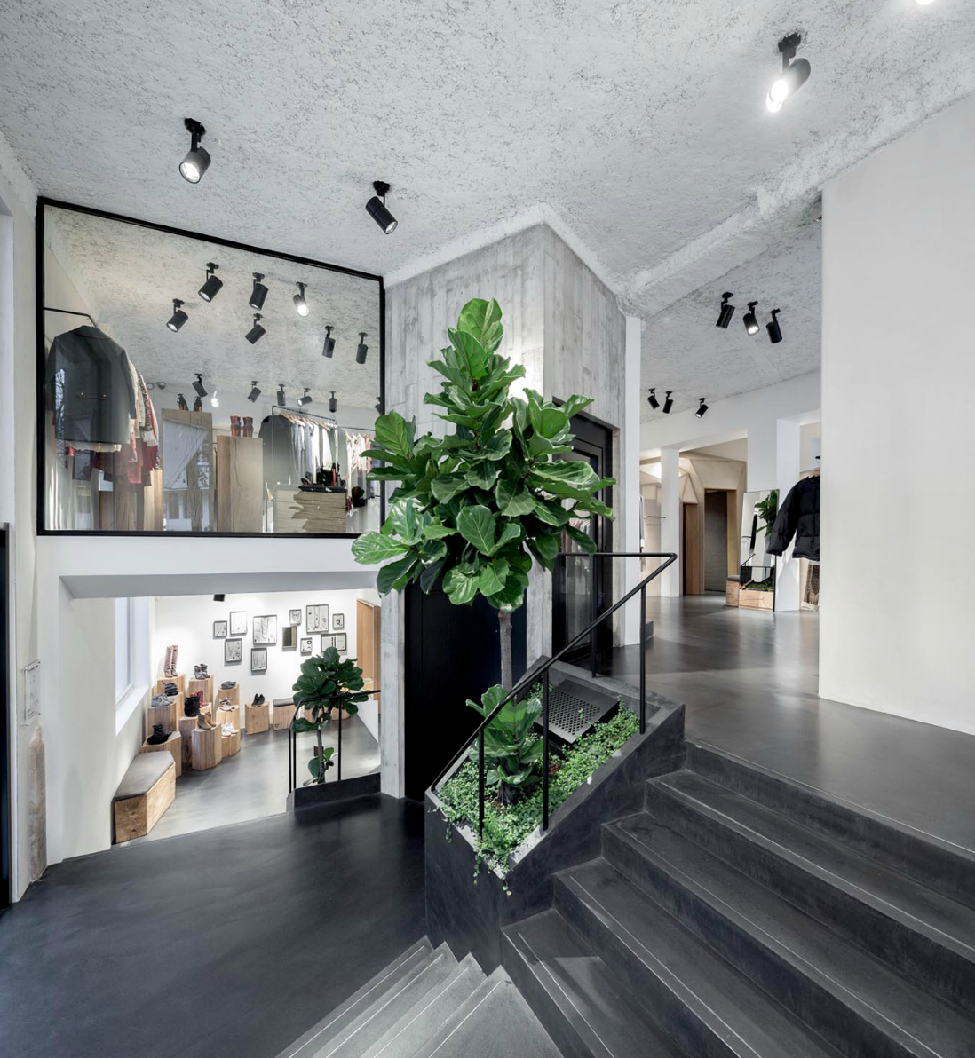 LSN : Design Directions : Ciguë: Architecture