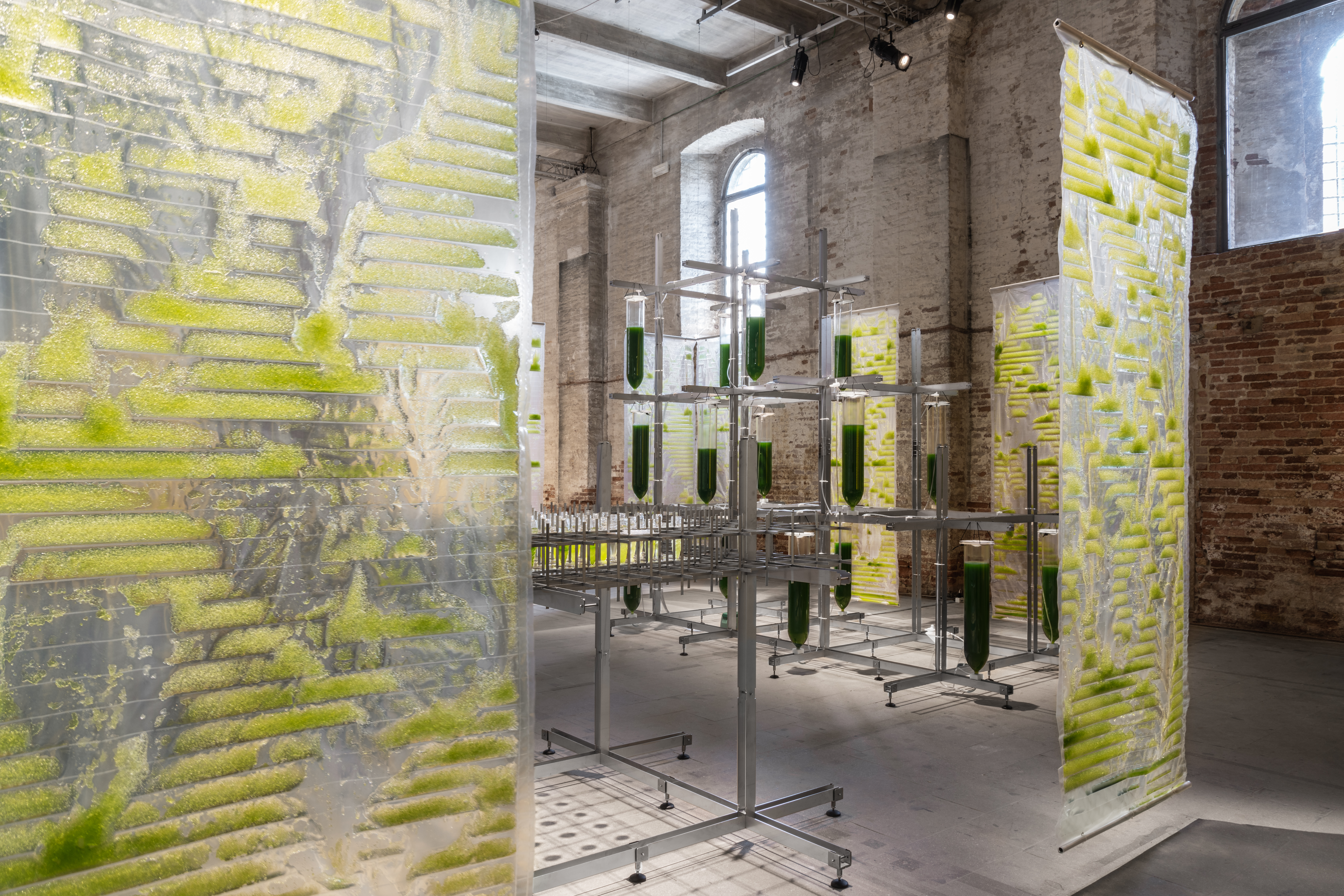 LSN : News : An exhibit exploring algae’s architectural future