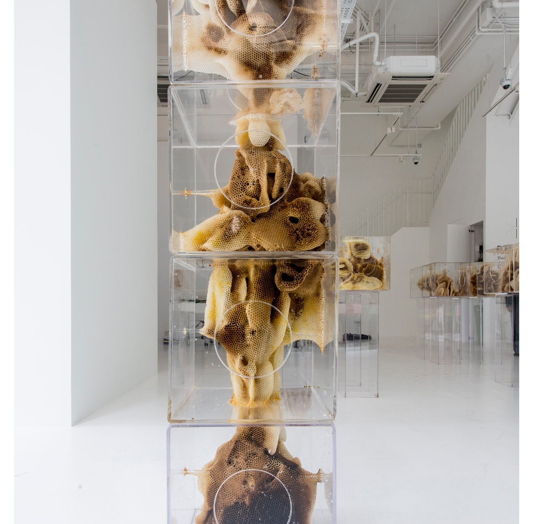 LSN : News : Organic art